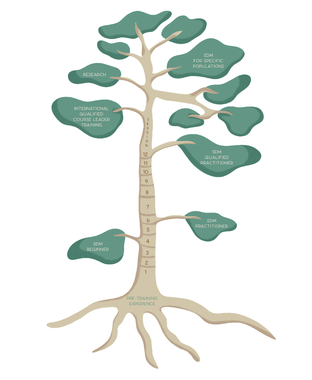 Training – Sherborne Developmental Movement